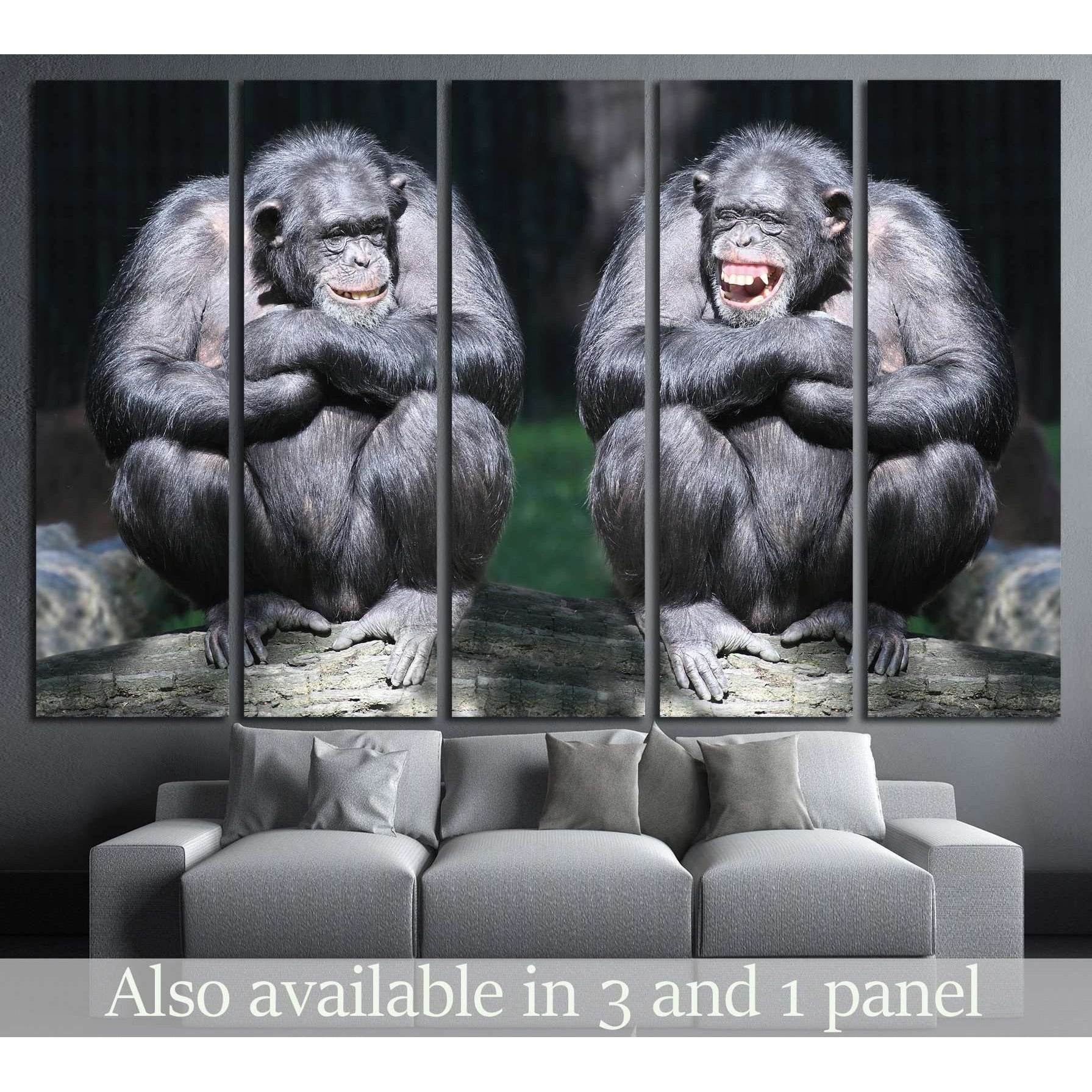 Laughing Chimpanzee Canvas Print, Wildlife Photo Wall Art - Zellart